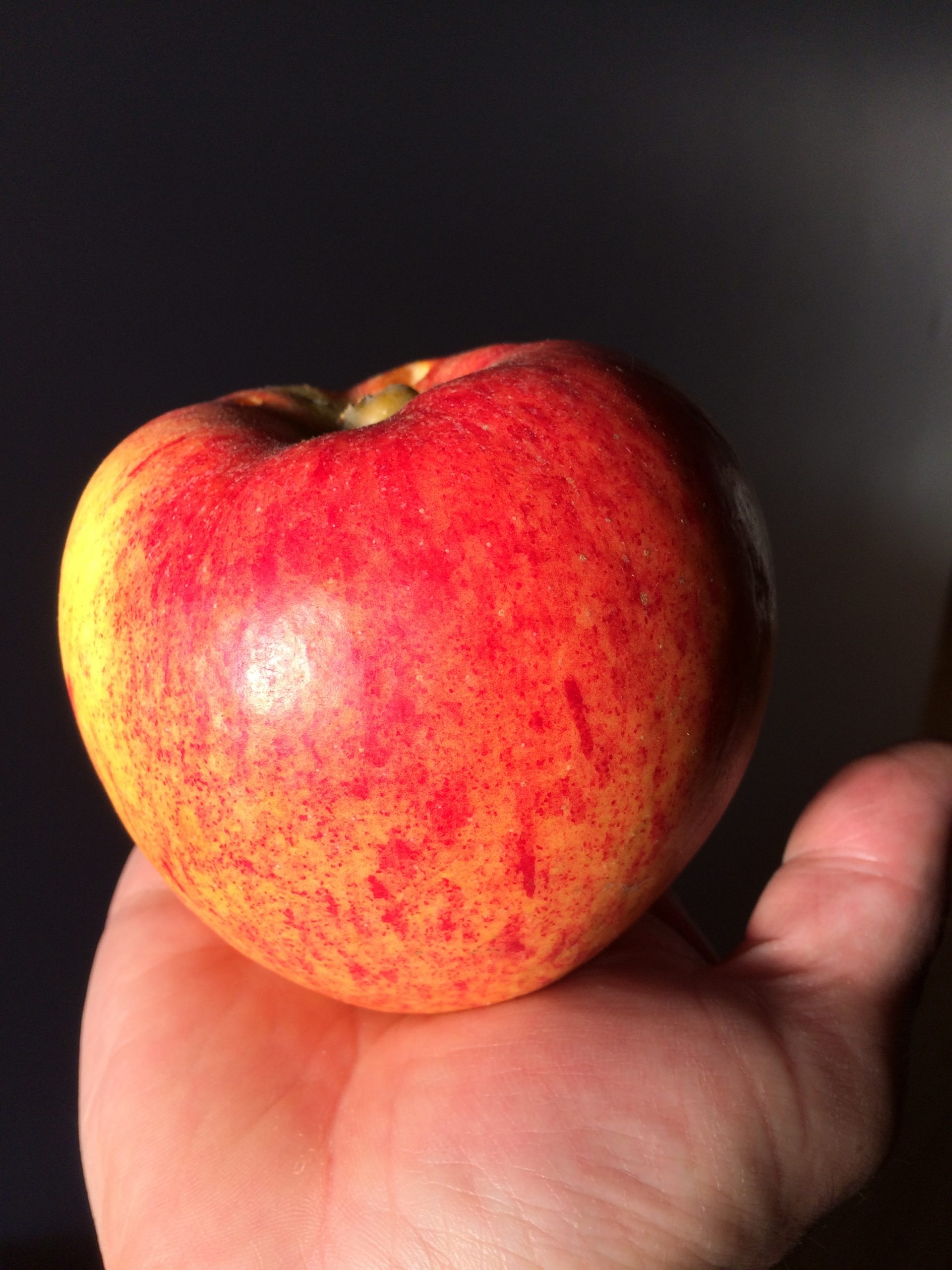 Home - Leeds Urban Harvest